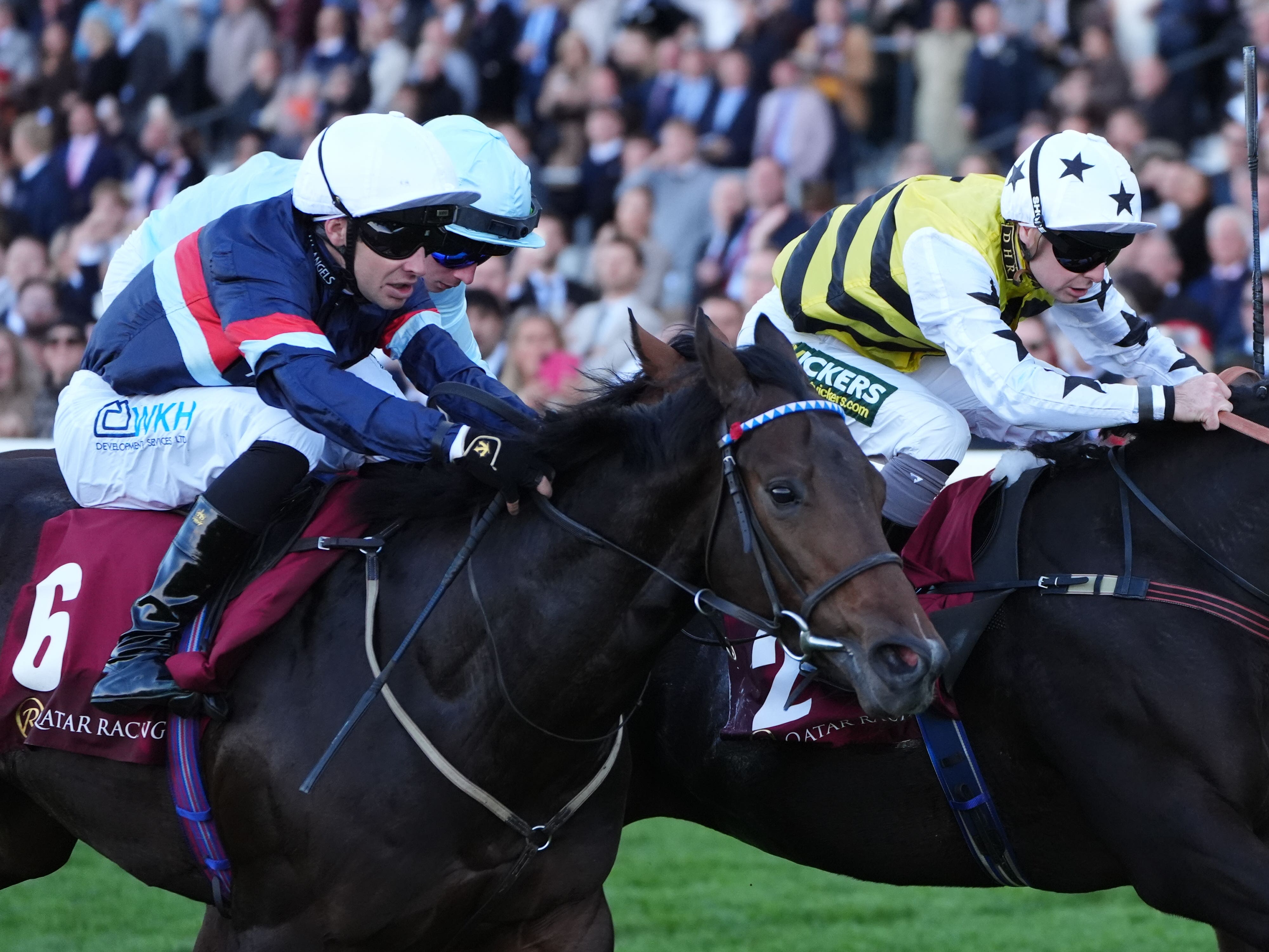 Night In Vegas denies Arapaho Gold in Ascot thriller